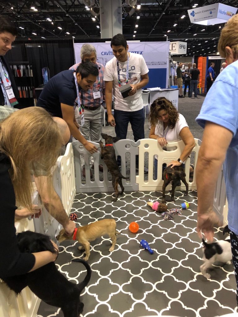 Puppy & Kitten Cuddle Zone | WCI Annual Conference