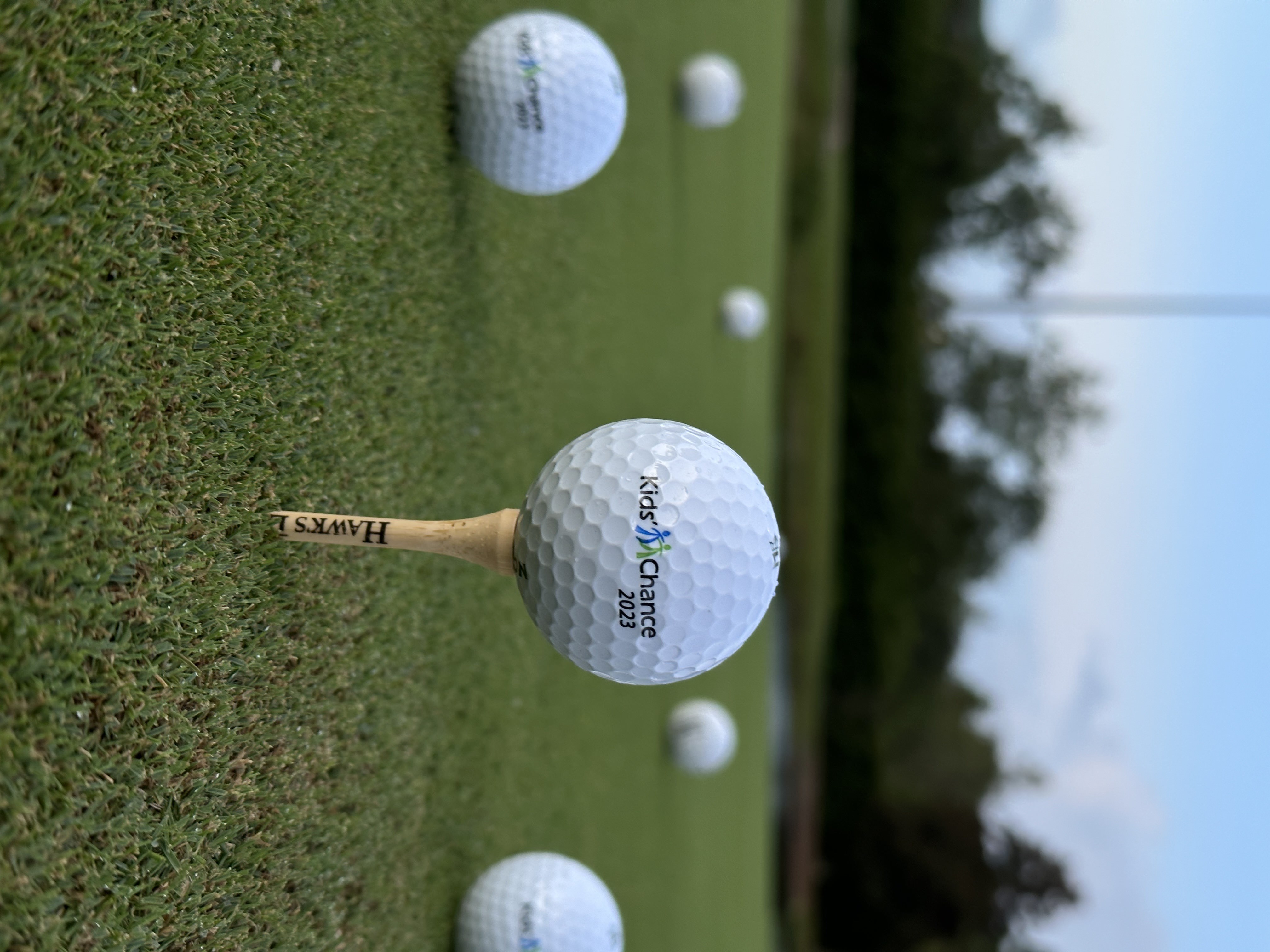 WCI Gives Back | WCI Annual Conference